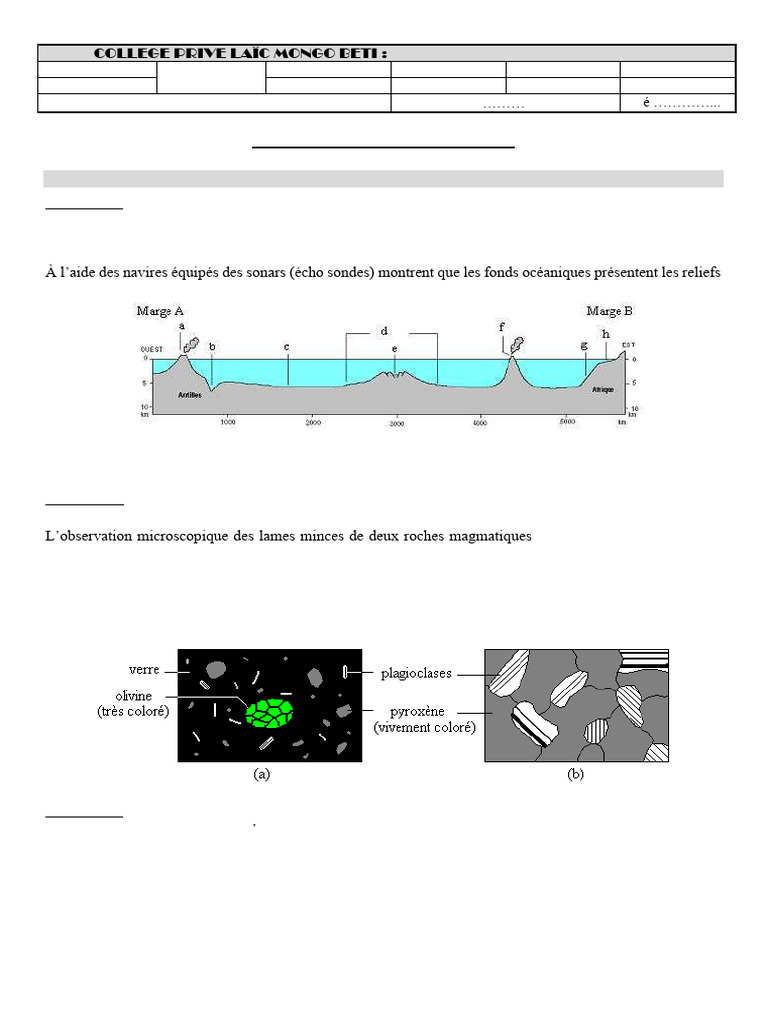 Bac Blanc SVT - TP - (Mongo Beti) - 2024 | PDF