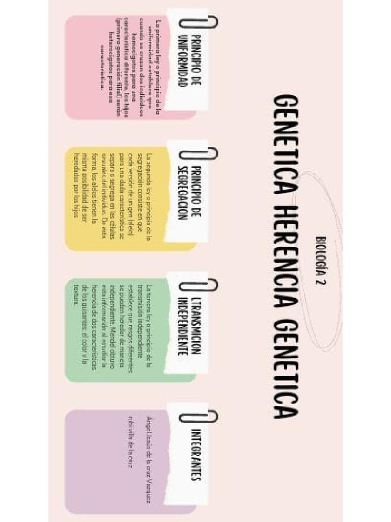 Biología II 'GENETICA' Angel Jesús-Rubí Villa | PDF