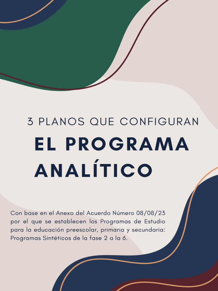 Infografia Programa Analítico | PDF