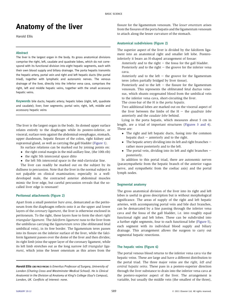Anatomy of The Liver | PDF