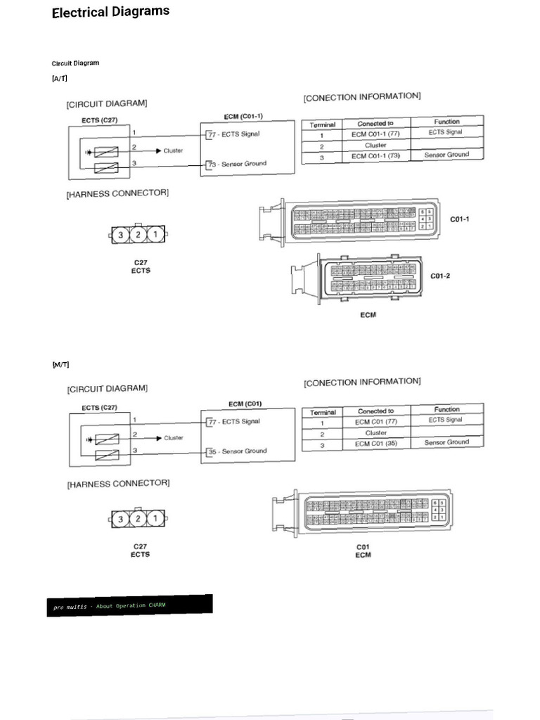 Temperature Sensor Accent | PDF