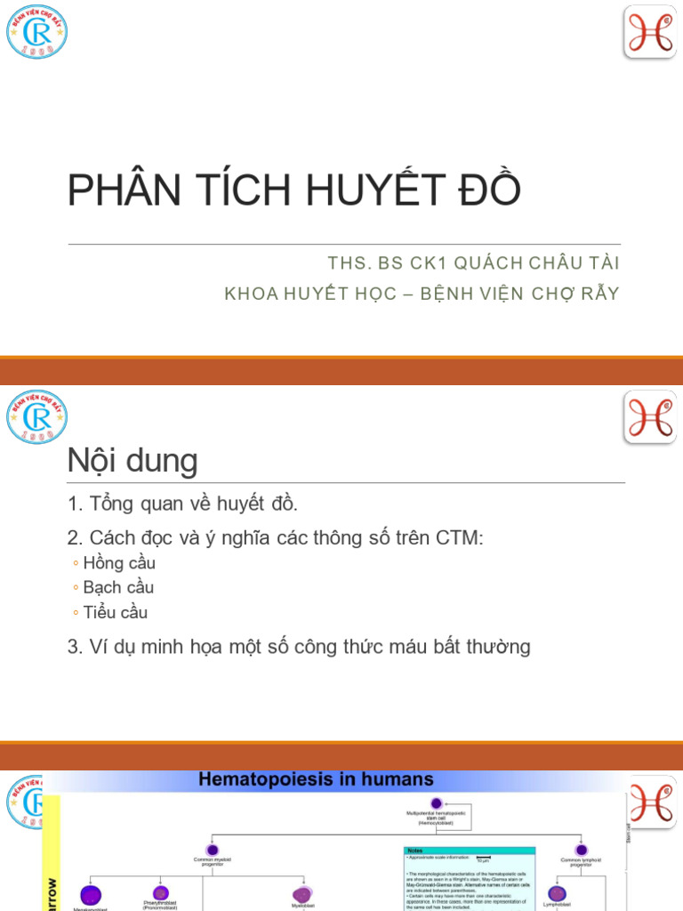Phan Tich Huyet Do - BS Tài BVCR 2 | PDF
