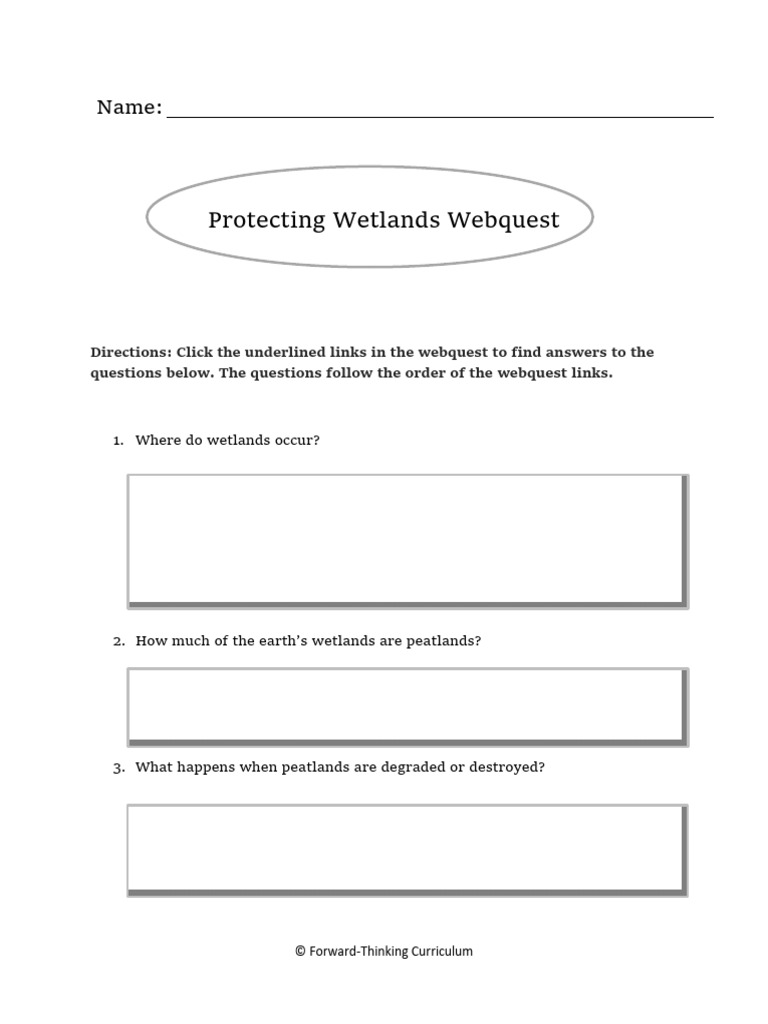 Tommy Keith - Copy of Protecting Wetlands Worksheet | PDF