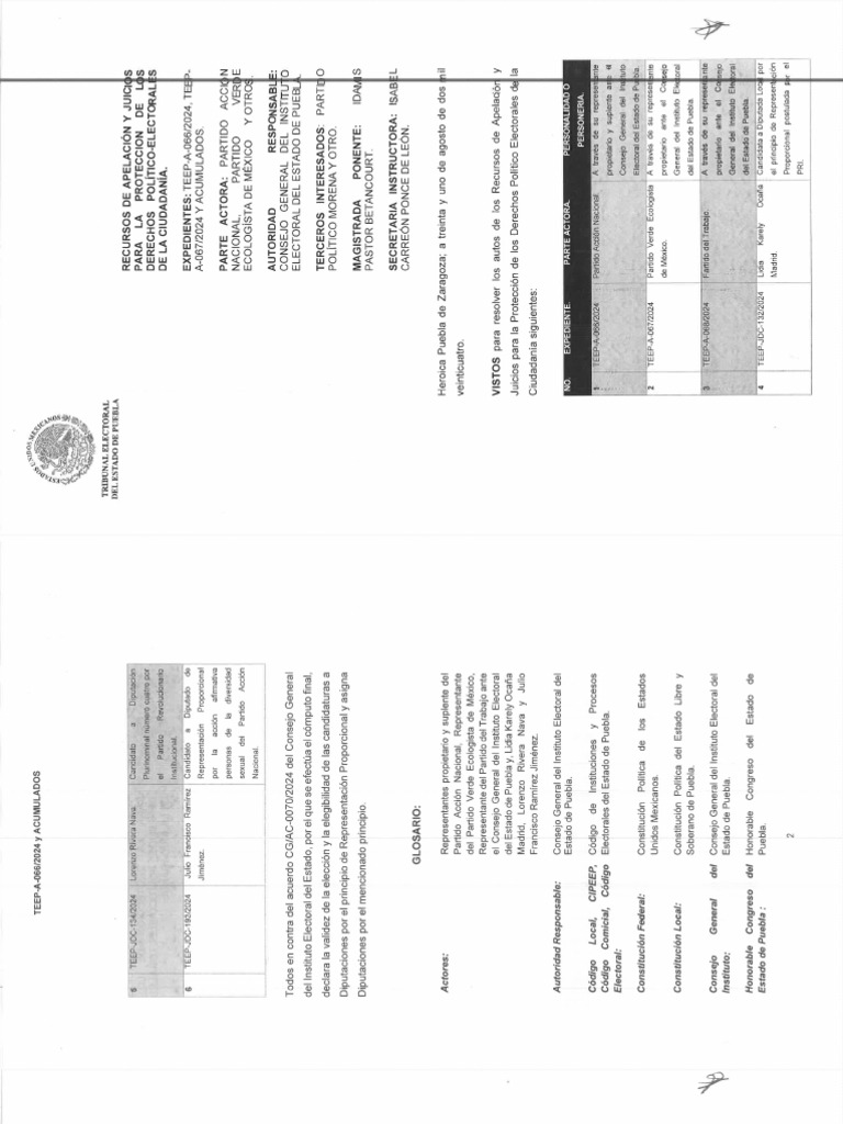 Resolución Teep A 066 2024 y Acumulados | PDF
