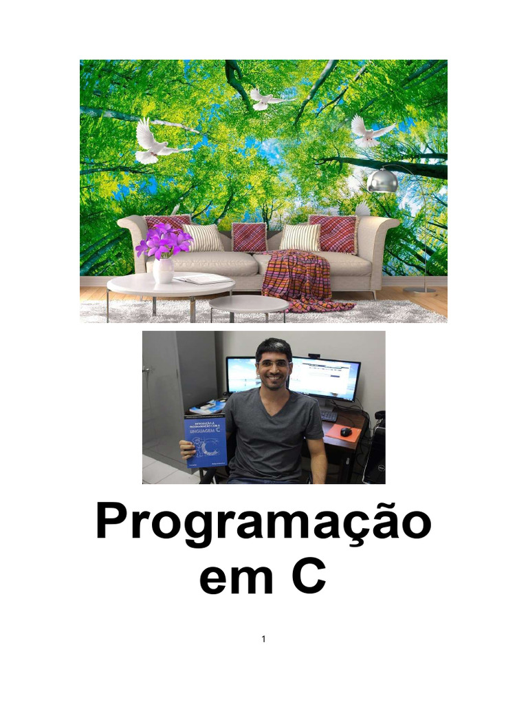 Programação em C - Os Primeiros Passos (2024) - 308pag | PDF