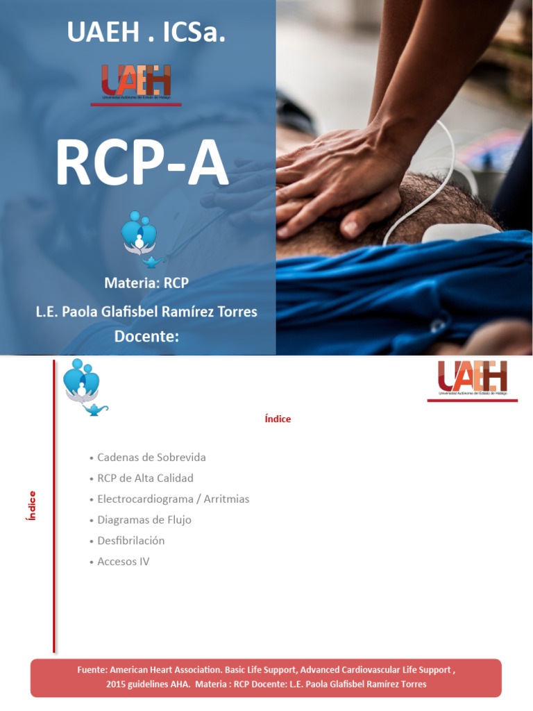 RCP A 1 | PDF