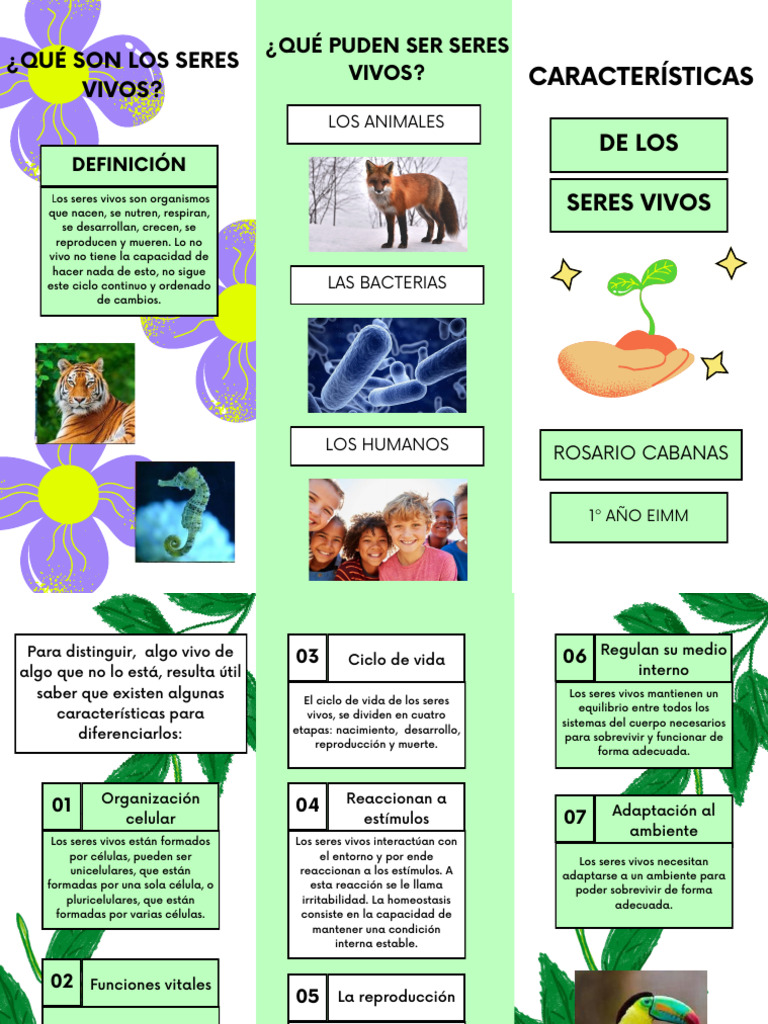 Características de Los Seres Vivos | PDF