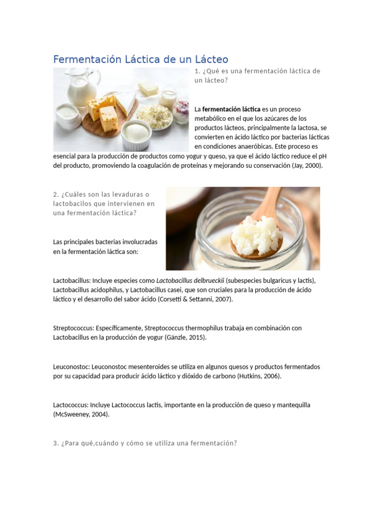Fermentación Láctica de Un Lácteo | PDF