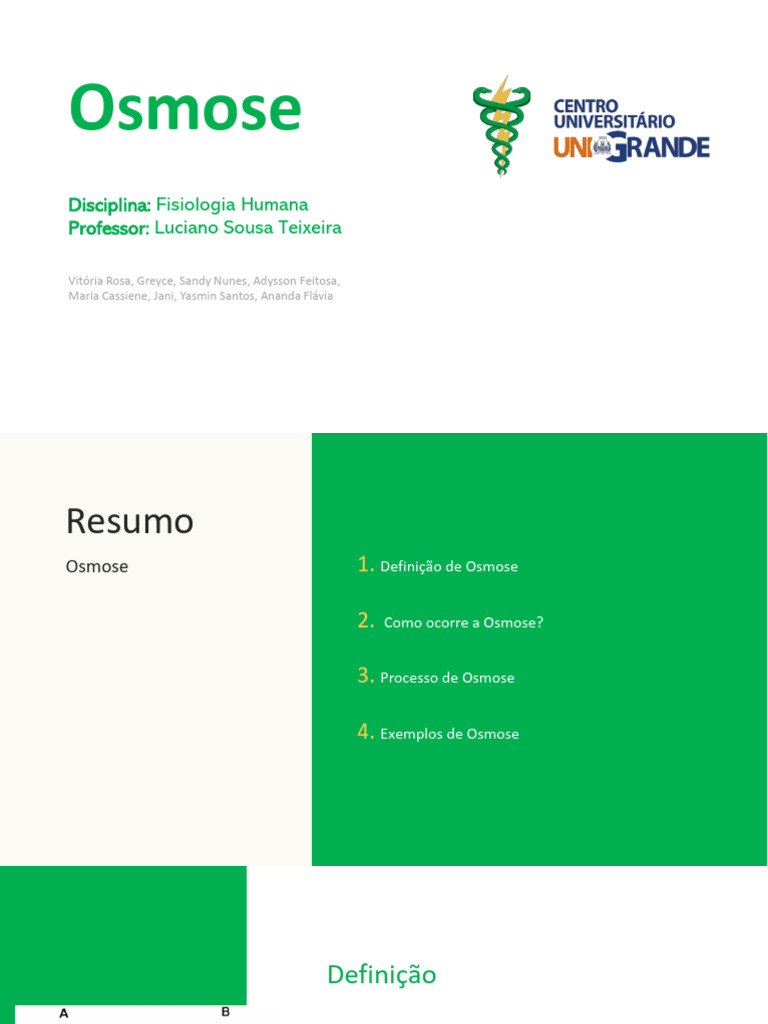 Slide - Osmose - GRUPO 03 | PDF