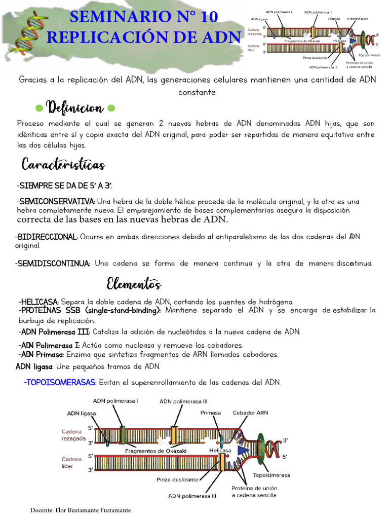 SEMINARIO N°10 Replicacion de ADN | PDF