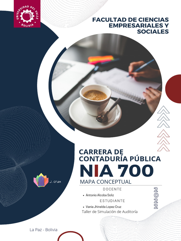 Mapa Conceptual - NIA 700 | PDF