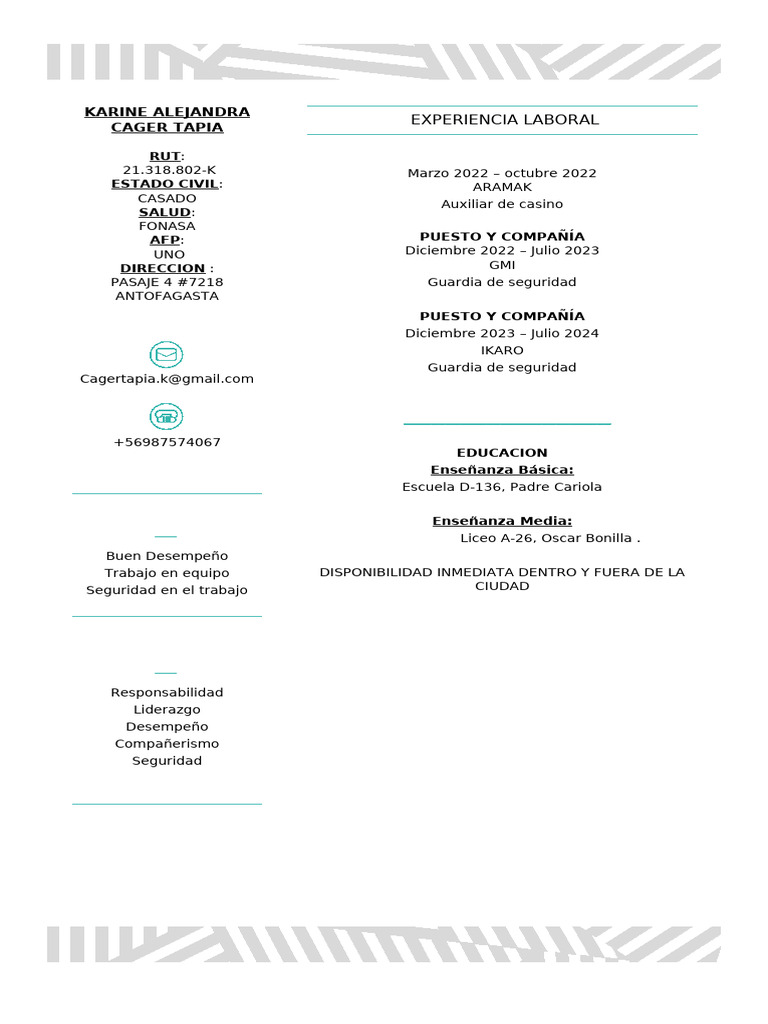 Cv Karine Pdf