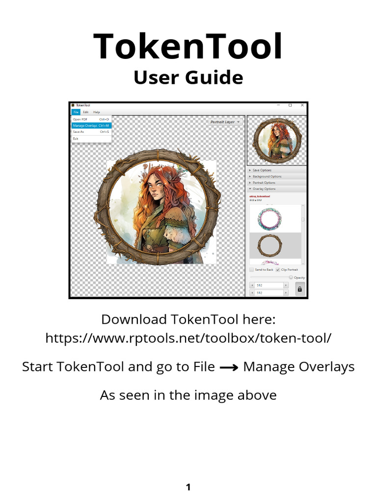 Tokentool User Guide | PDF