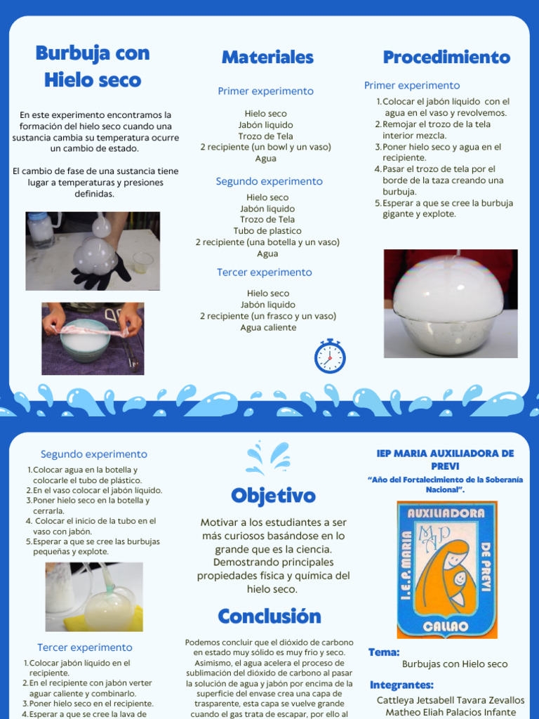Triptico Proyecto Cientifico | PDF