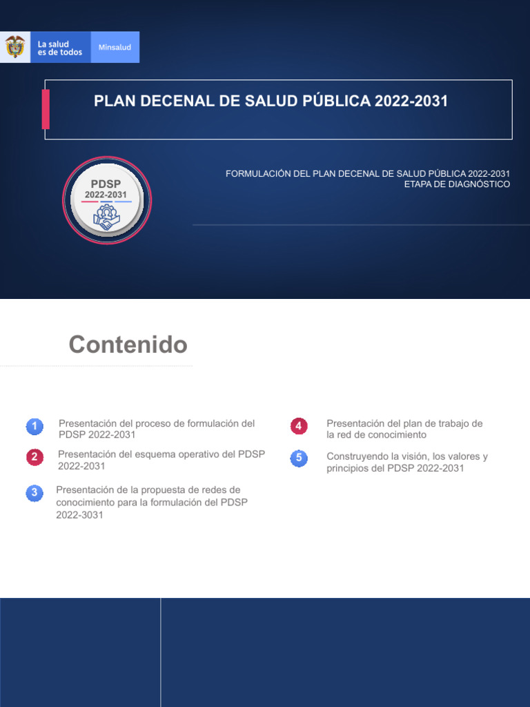 Presentacion PDSP Etapa Diagnostico 2022 2031 | PDF