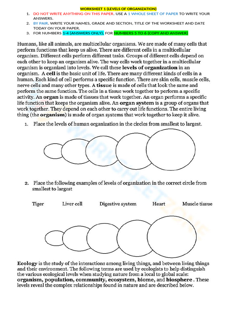Environmental Science Worksheet 1 - Levels of Organization | PDF