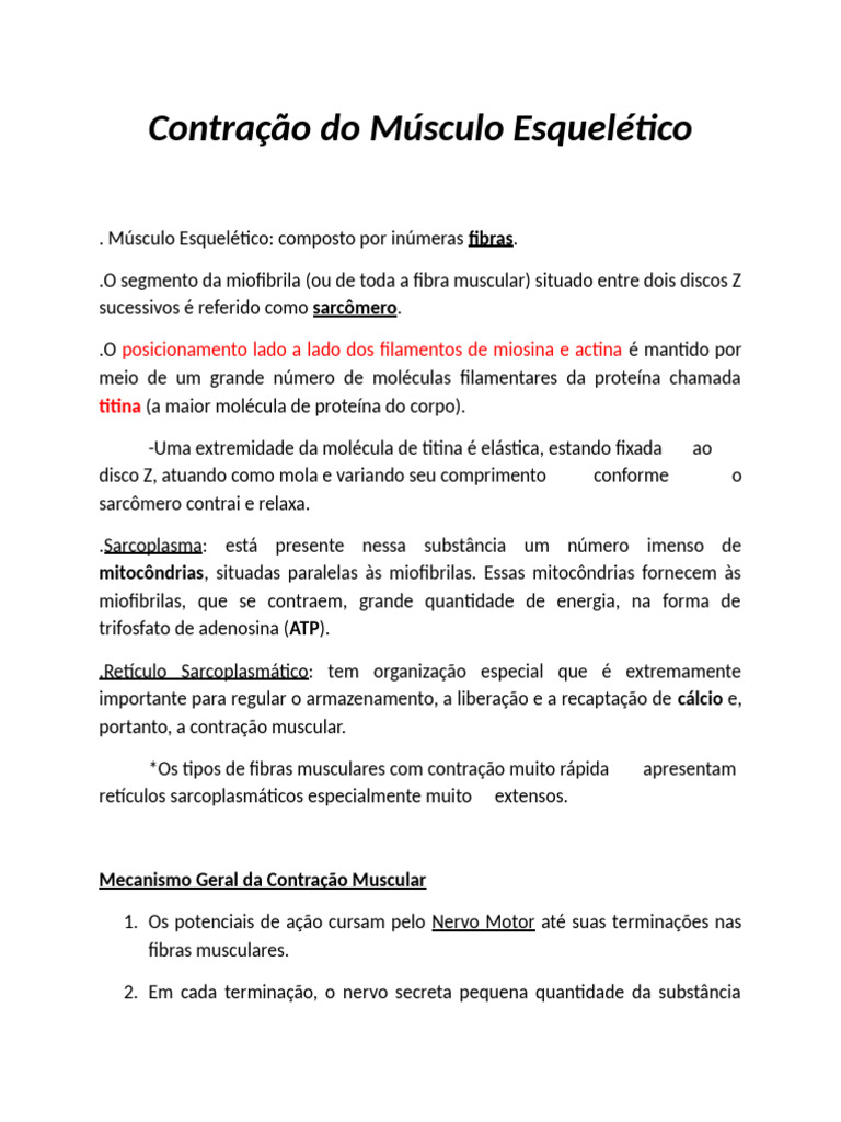 Contração e Junções Musculares | PDF