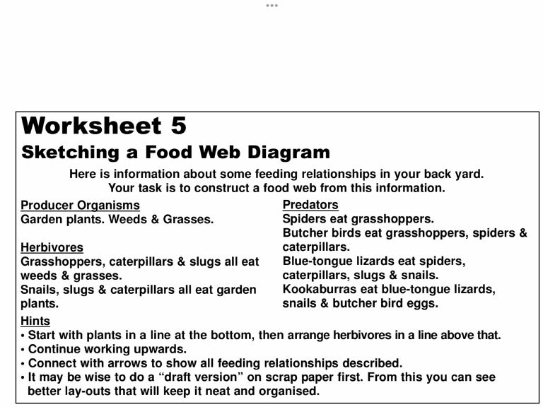 Worksheet of Food Web Diagram | PDF