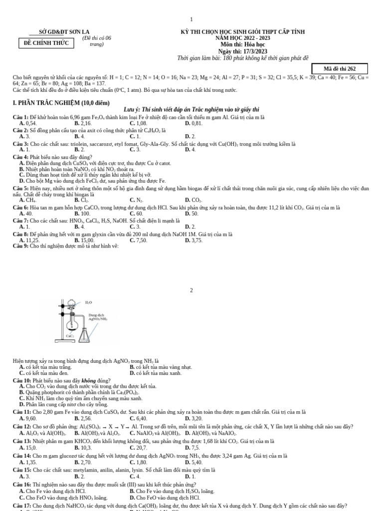 HSG 12 Sơn La 2022-2023 | PDF