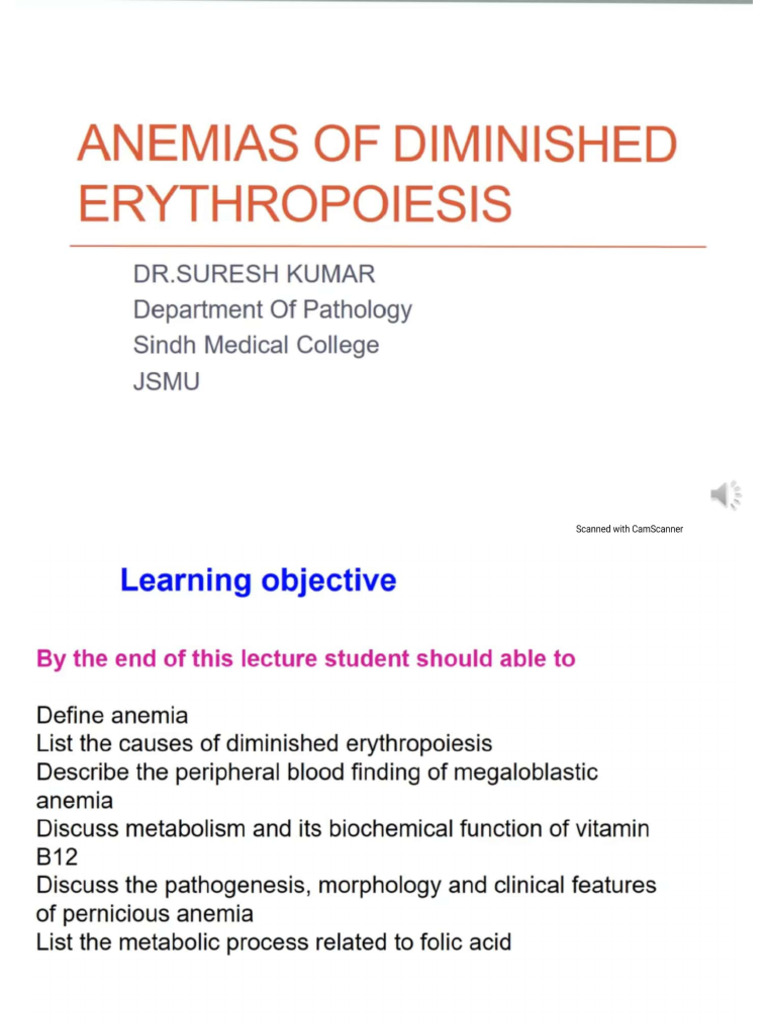 Diminished Erythropoiesis | PDF