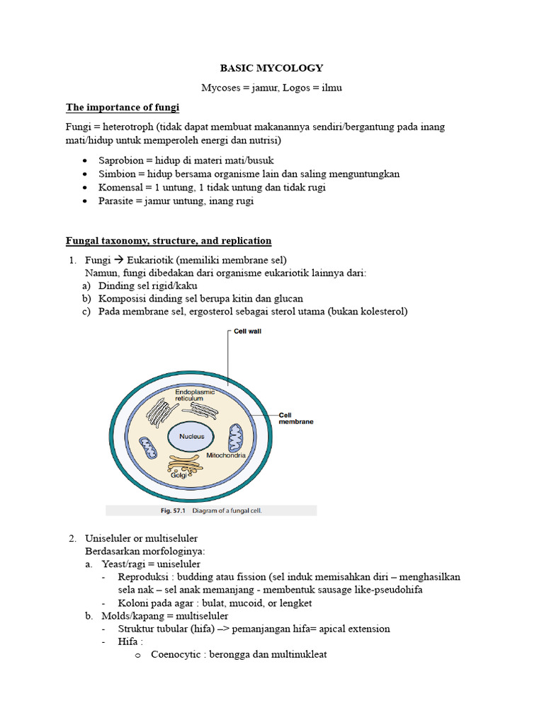 Basic Mycology | PDF