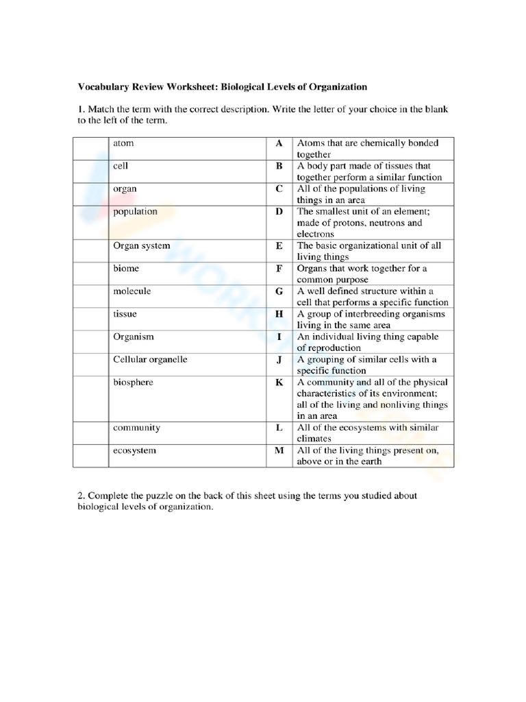 Worksheet - Worksheetzone | PDF