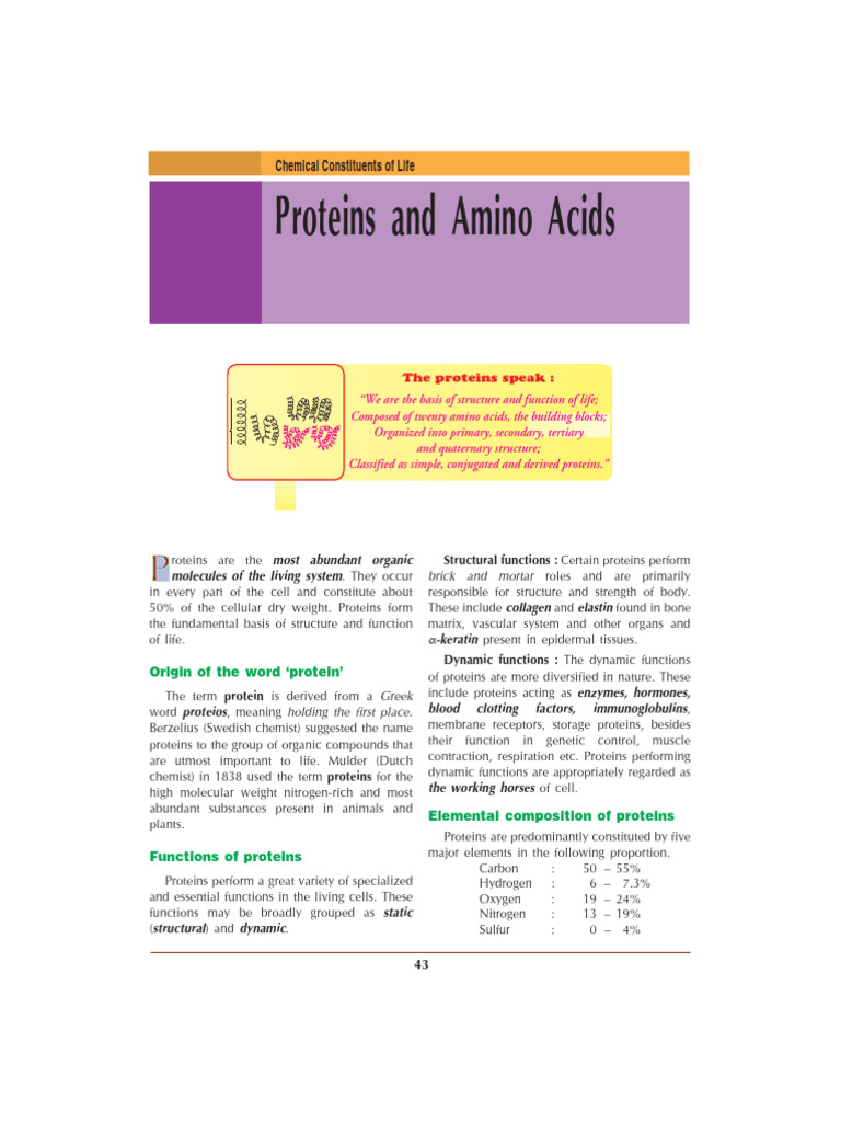 Amino Acids | PDF