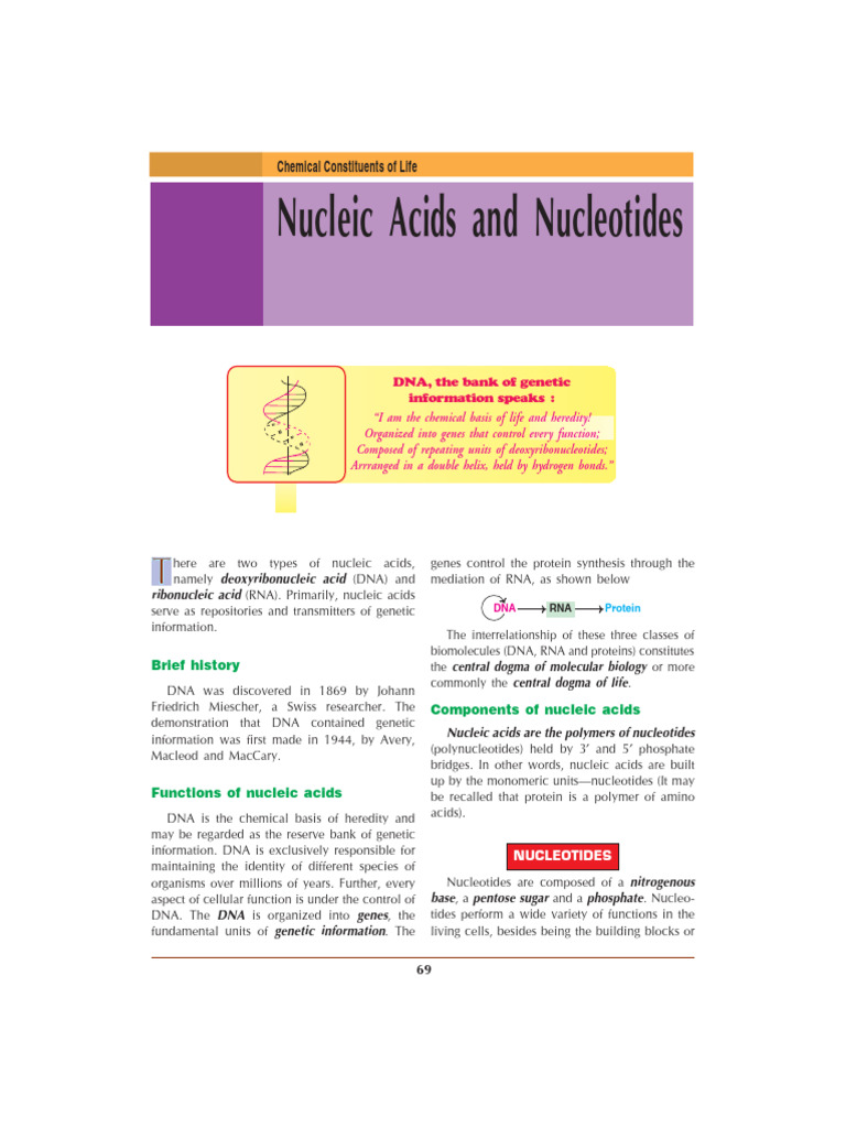 Nucleotides | PDF