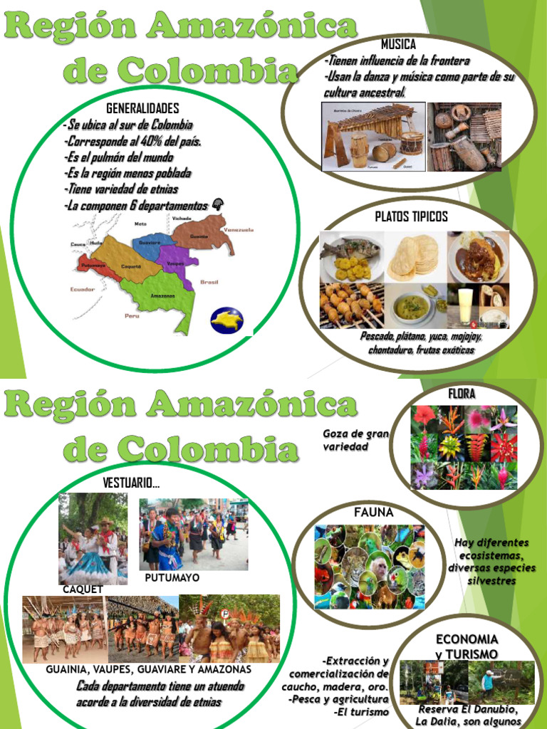 Región Amazónica de Colombia-Exposicion MAJO | PDF