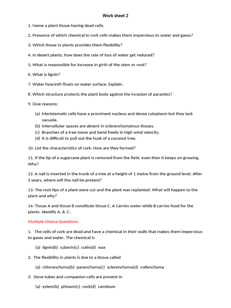 Tissue Work Sheet 2 | PDF