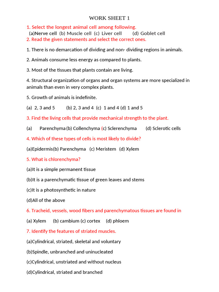 Work Sheet 1 TISSUES | PDF