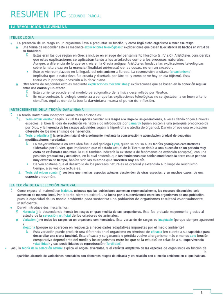 Resumen 2do Parcial IPC 2 Word | PDF