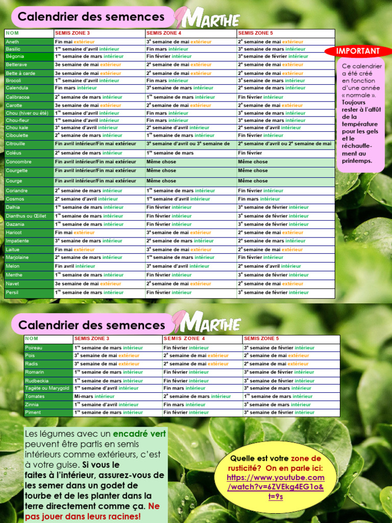 Calendrier des semences 2025 à imprimer | PDF | Nourritures | Légumes