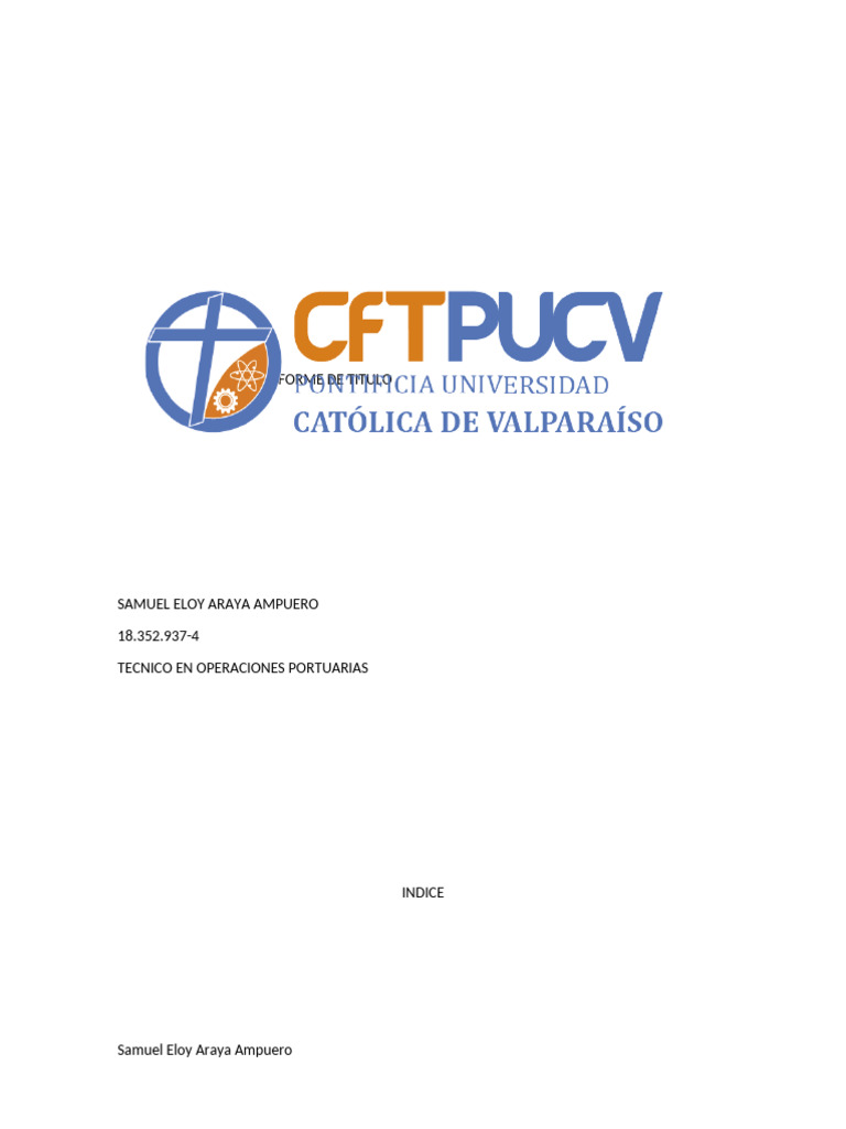 Informe de Titulo | PDF