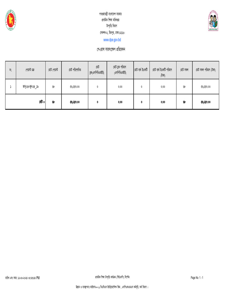Payroll Summary Report | PDF