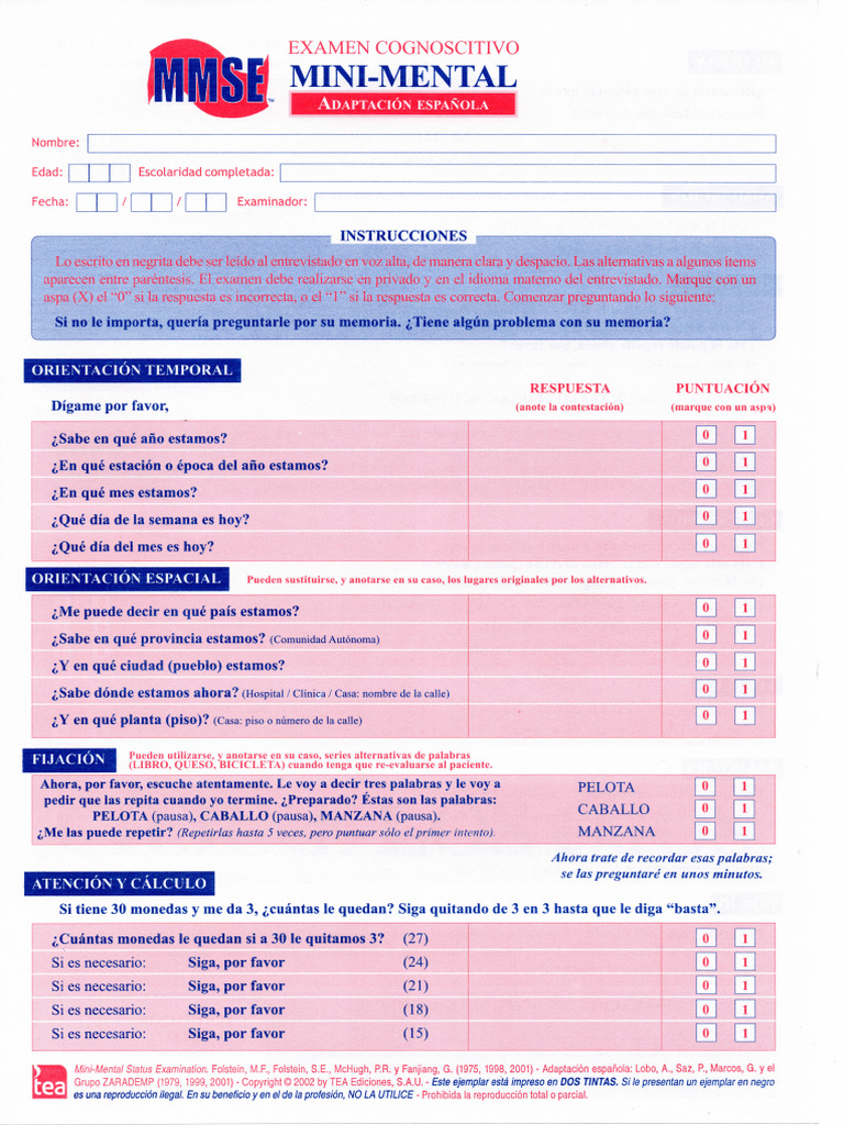 Mini Mental Test - Protocolo | PDF