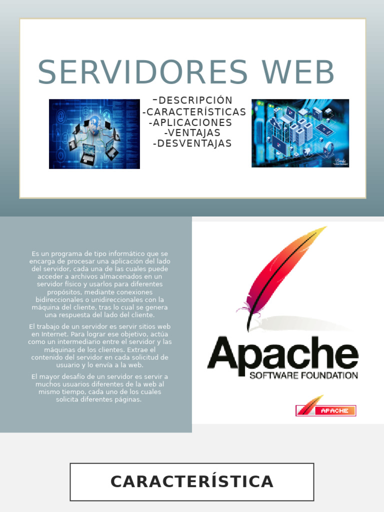 Servidores Web | PDF