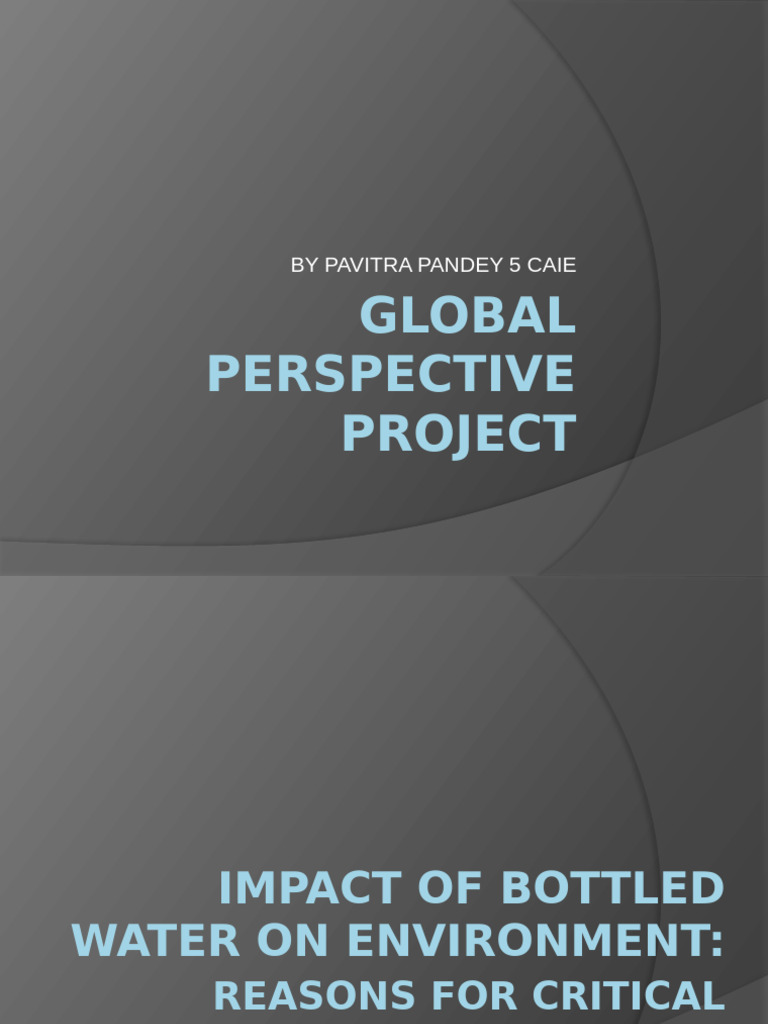 Global Perspective Project | PDF