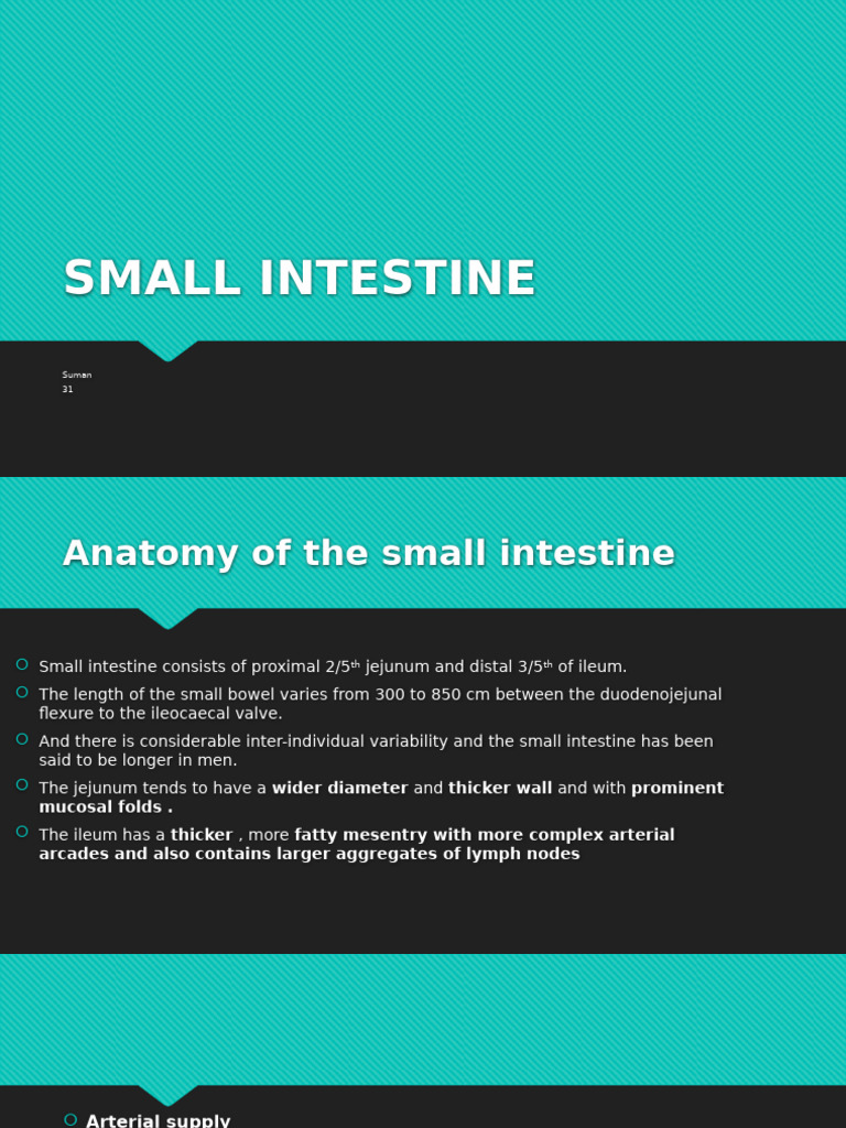 Small Intestine: Suman 31 | PDF