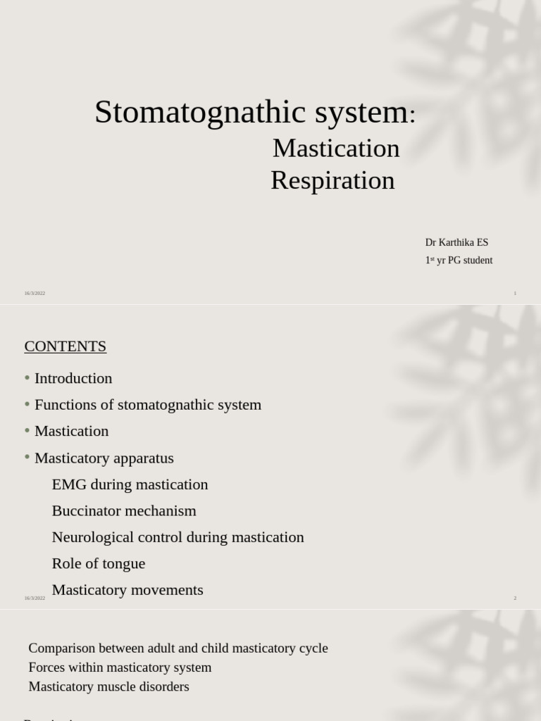 Stomatognathic System | PDF