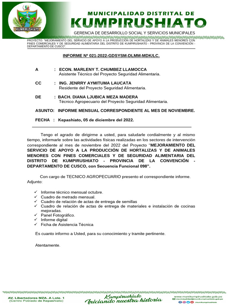 MODELO DE INFORME Noviembre | PDF