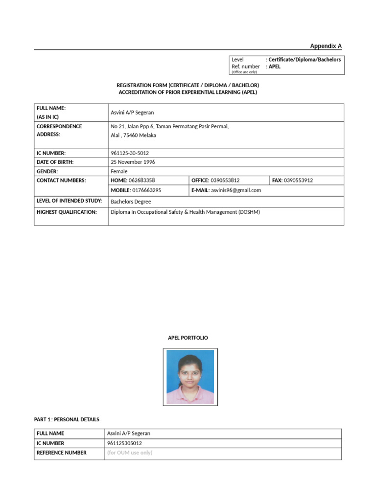 Portfolio Template For Diploma Bachelor Degree English | PDF