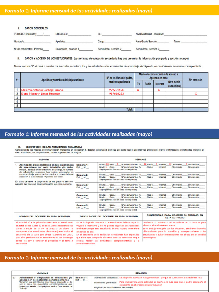 Ejemplos y Precisiones de Llenado de Informes | PDF