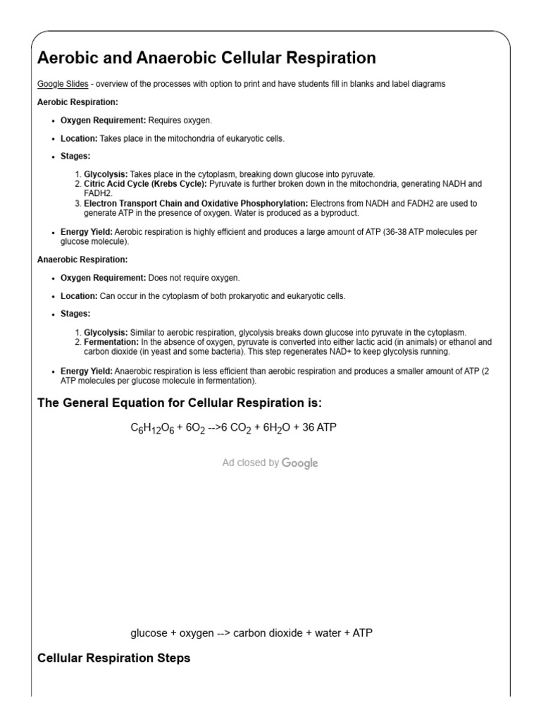 Aerobic and Anaerobic Cellular Respiration-NOTES | PDF