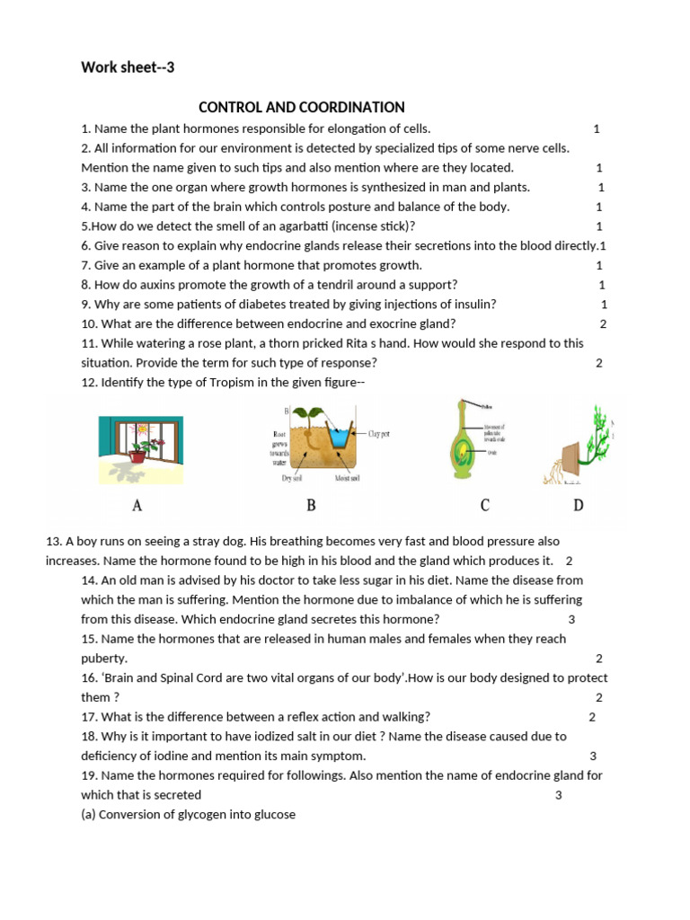 Control and Coordination Worksheet | PDF | Hormone | Wellness