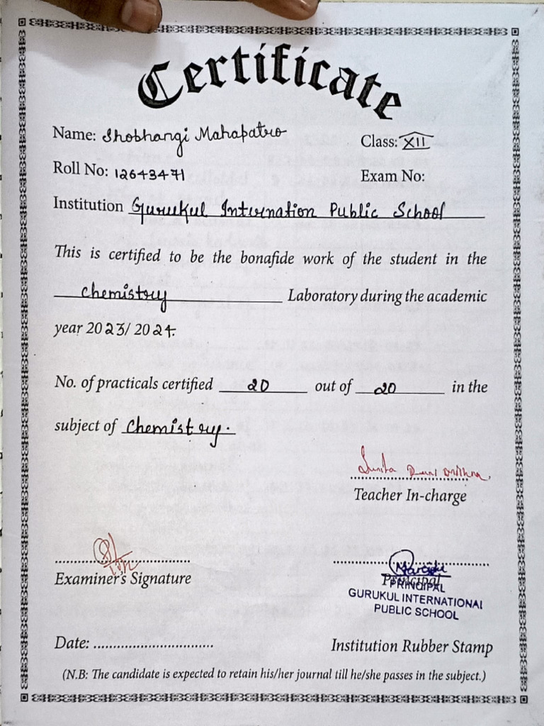 Chemistry Class 12 Lab Records | PDF