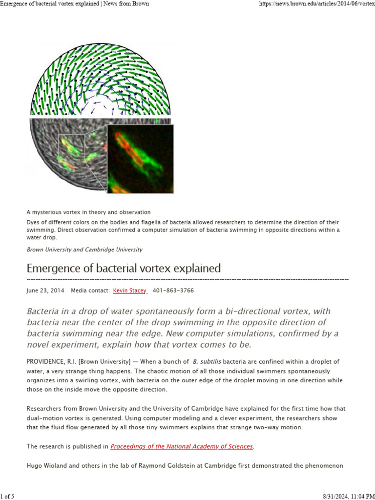 Emergence of Bacterial Vortex Explained - News From Brown | PDF