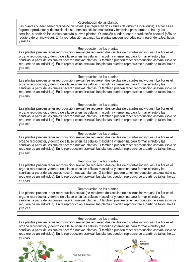 Reproduccion Plantas | PDF