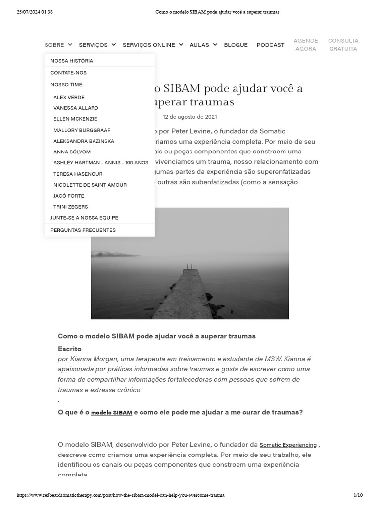SIBAM Como o Modelo SIBAM Pode Ajudar Você A Superar Traumas | PDF