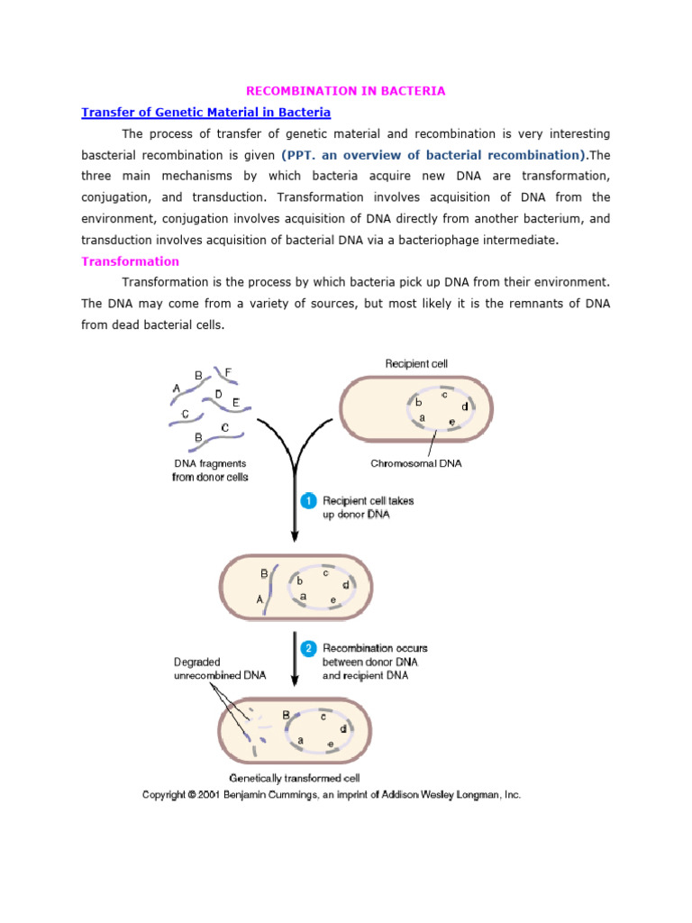 Micro Bio 7 | PDF
